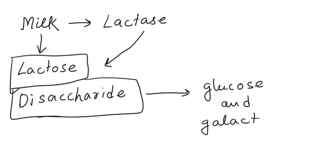 SOLVED: Would you expect higher or lower glucose levels for dairy ...