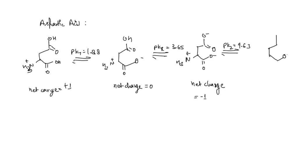 SOLVED: Asparagine: a. Write out the equilibrium equations for each ...