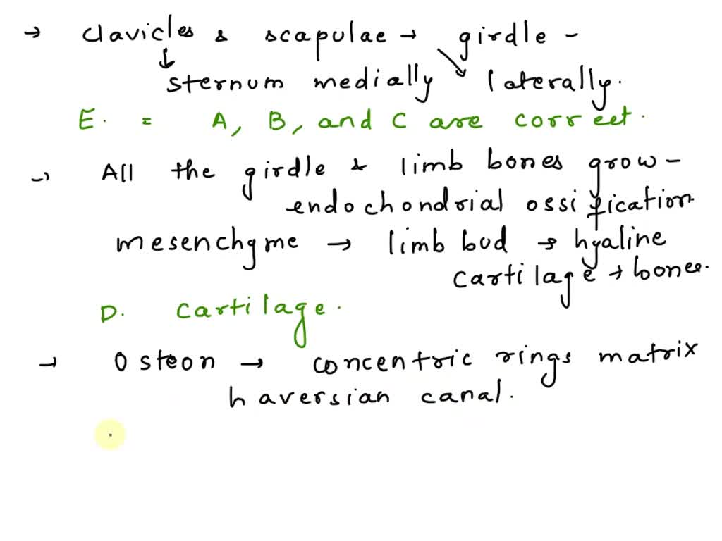 SOLVED: No need to explain ACTIVITY 7 Answer the bone markings questions below 3) Which bone ...