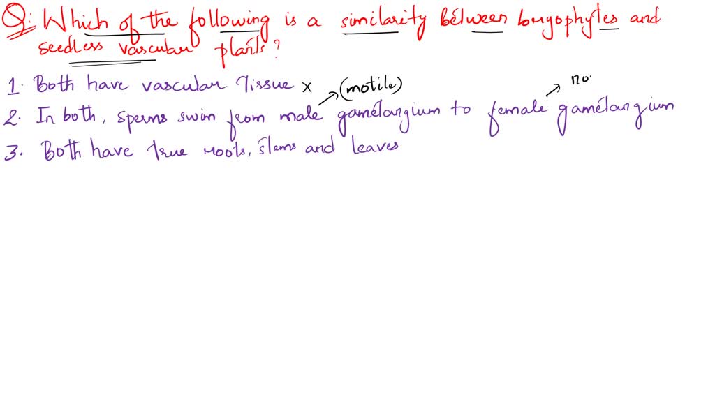 SOLVED: QUESTION 4 Which two traits evolved along the same branch of ... SOLVED: QUESTION 4 Which two traits evolved along the same branch of ...