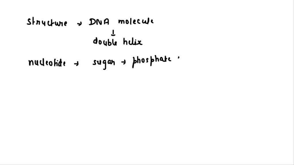 SOLVED: 1. Why and how are the two antiparallel strands on a DNA ...