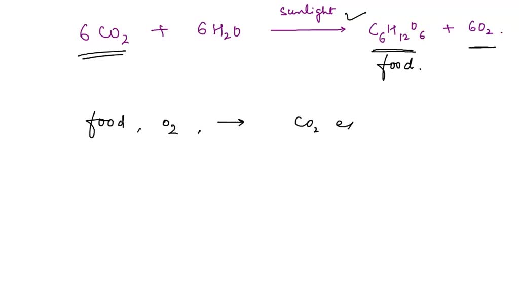 SOLVED: Photosynthesis is a process fundamental to life on earth ...