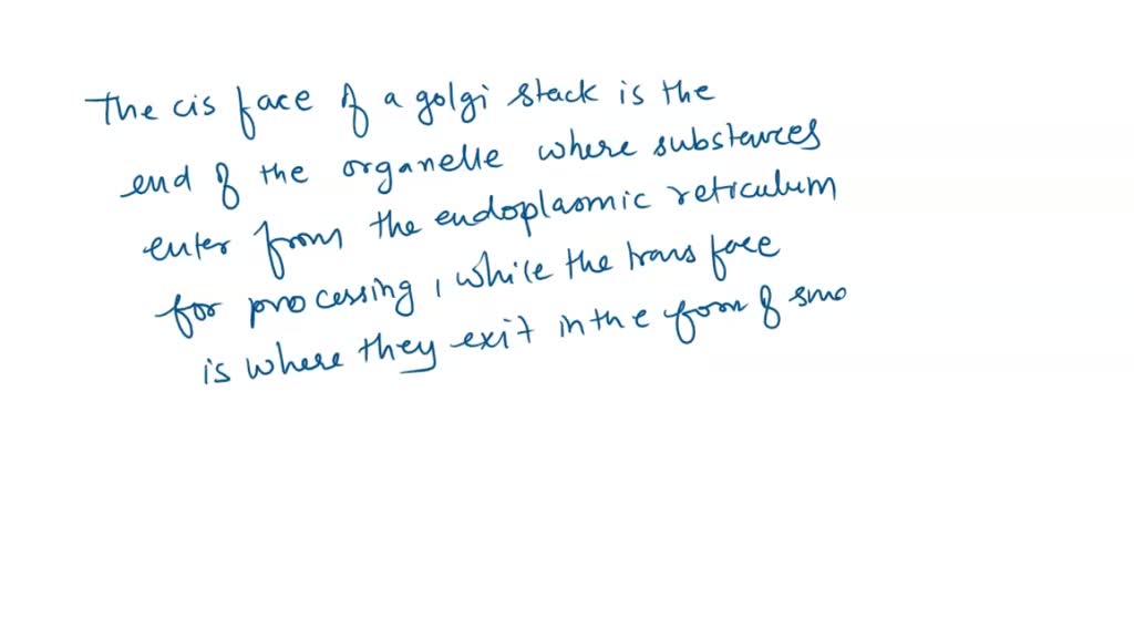 Solved Packet Tracer Configure And Verify A Site To Site Ipsec Vpn Using Cli Topology