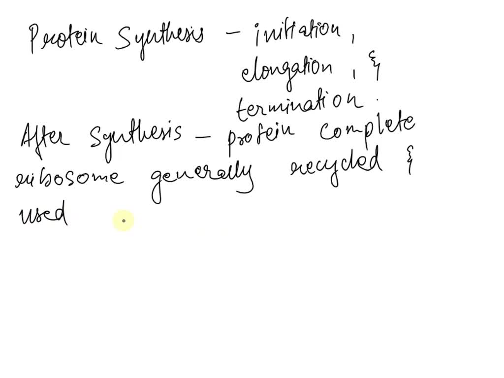 SOLVED: Which of the following steps is NOT included in the protein ...