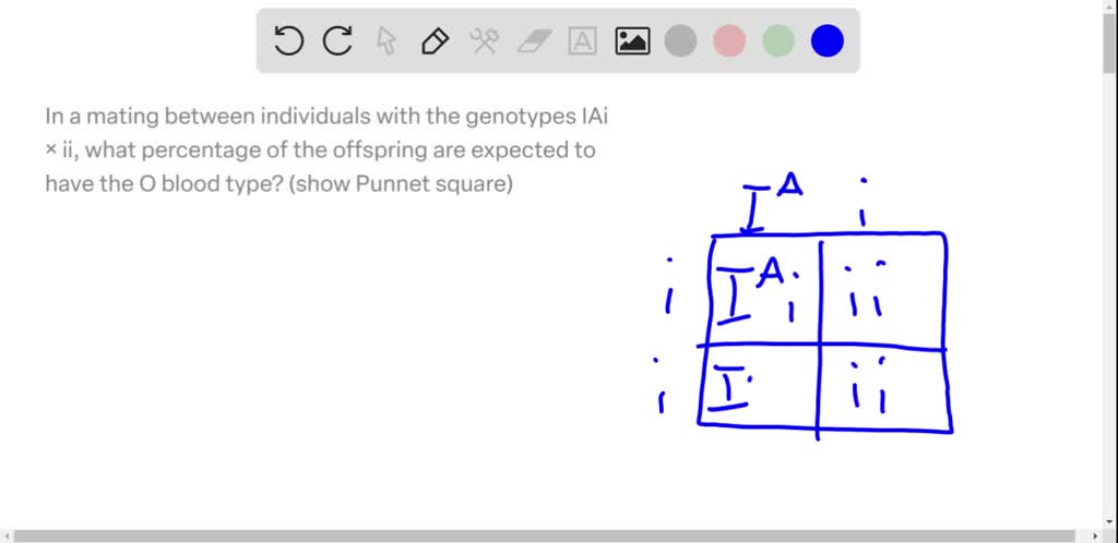 SOLVED: In a mating between individuals with the genotypes IAi × ii ...