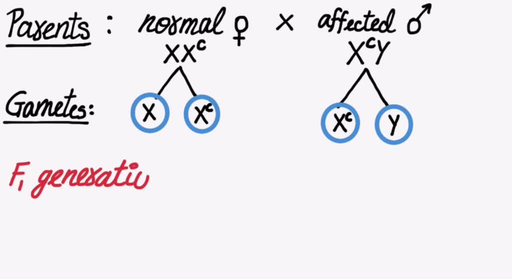 SOLVED: Color blindness in humans is inherited as an X-linked recessive ...