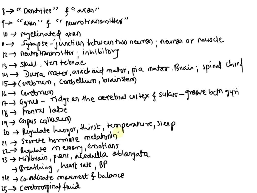Solved An Artificial Neural Network Contains 2 Neurons In The Input Layer Called Neuron 0 And