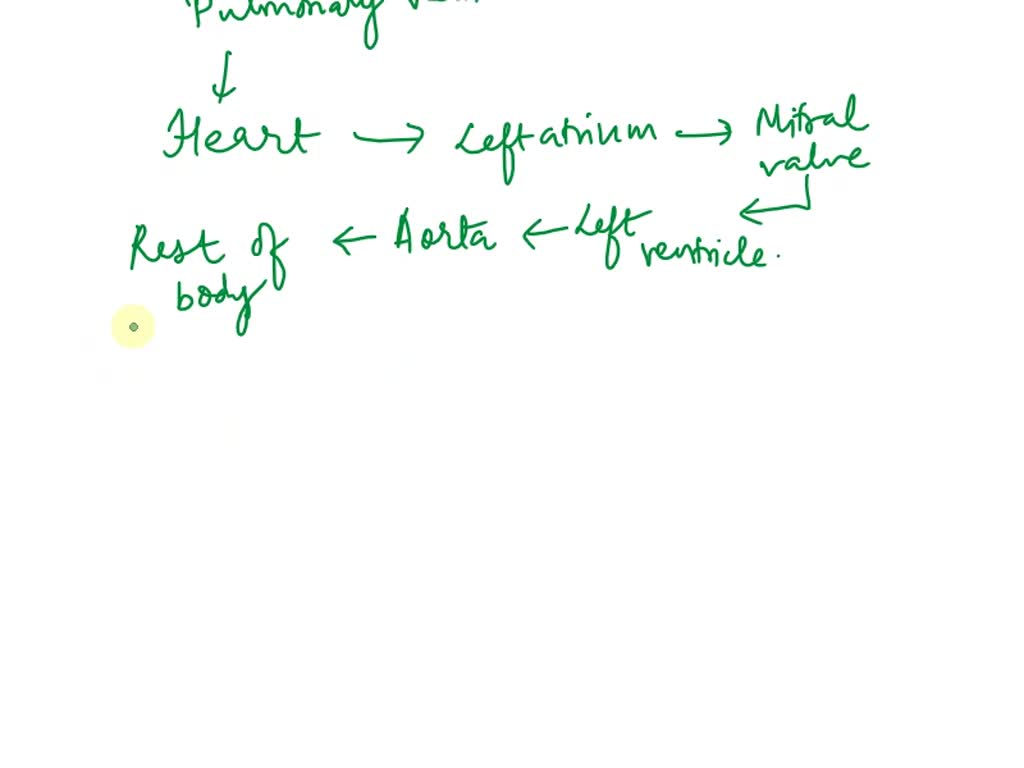 SOLVED: 1. Identify the structure and function of the heart. 2. Explain ...