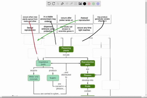 Animal reproduction concept map use the provided terms or...