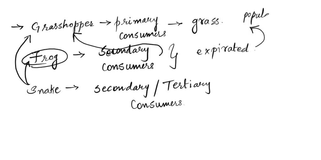 There's a healthy community with a food chain of grass –> grasshopper ...