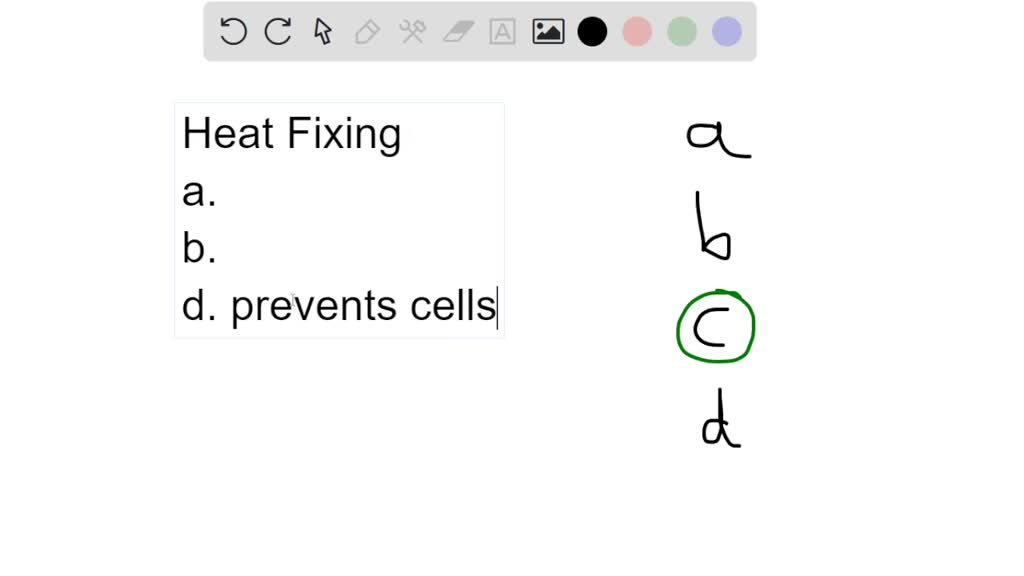 SOLVED: Lab 3: Structure and Microscopy Which of the following does ...