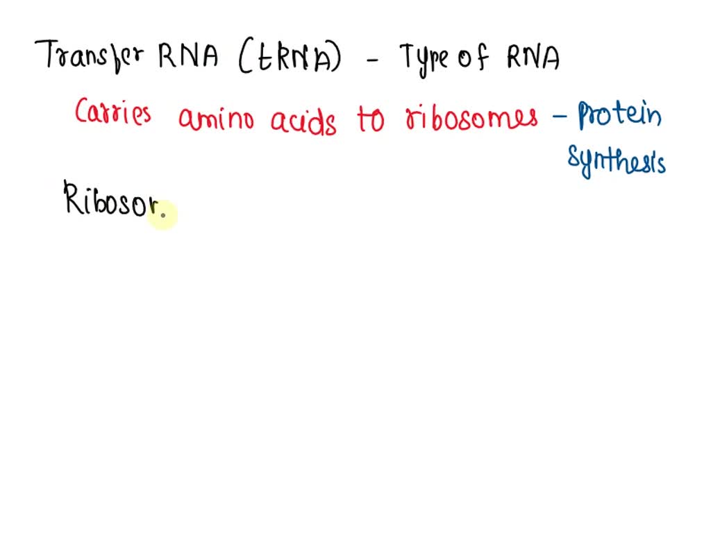SOLVED: Transfer RNA (tRNA) takes a message from DNA in the nucleus to ...
