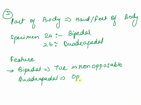 Lab Exercise. Biped or not a biped? At each virtual...