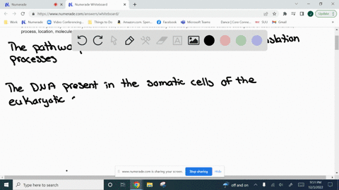 Outline the main steps involved in secretory pathway...