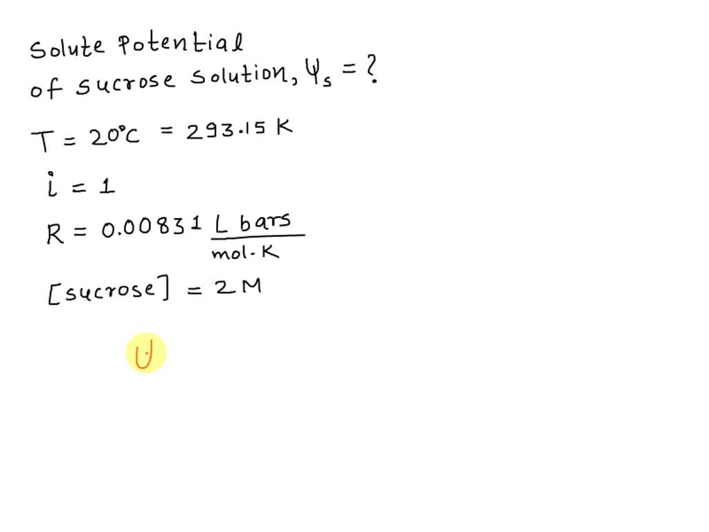 SOLVED: The solute potential can be calculated by Î¨s = iCRT, where i ...