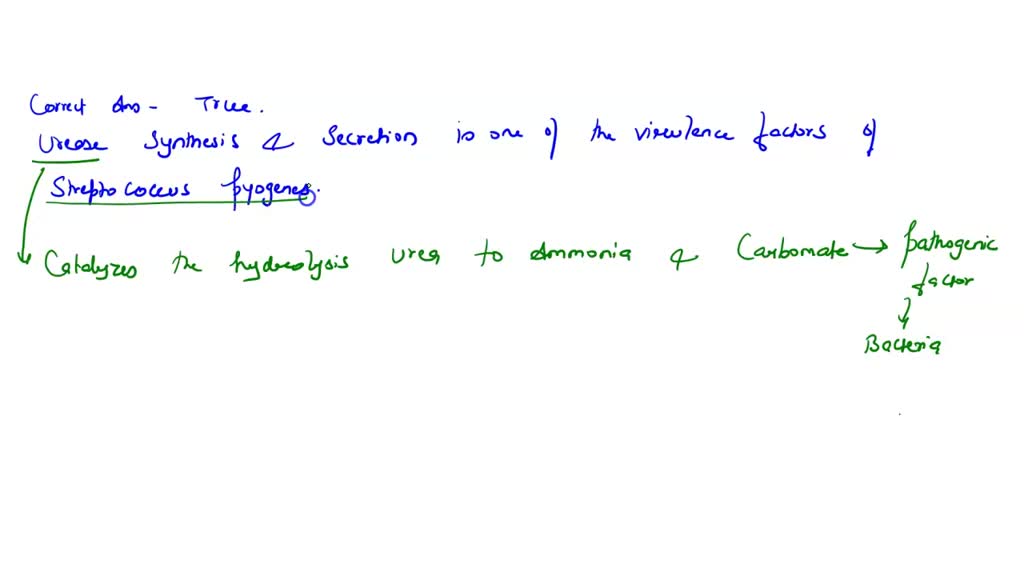 SOLVED: Question 11 1 pts Urease synthesis and secretion is one of the ... SOLVED: Question 11 1 pts Urease synthesis and secretion is one of the ...