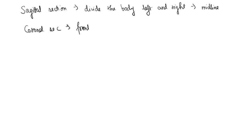SOLVED: A vertical longitudinal section through the midline is called a ...