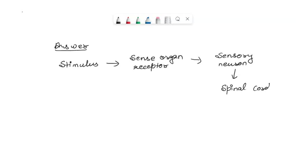 SOLVED: Please answer question 2: Draw a flowchart to indicate the path ...