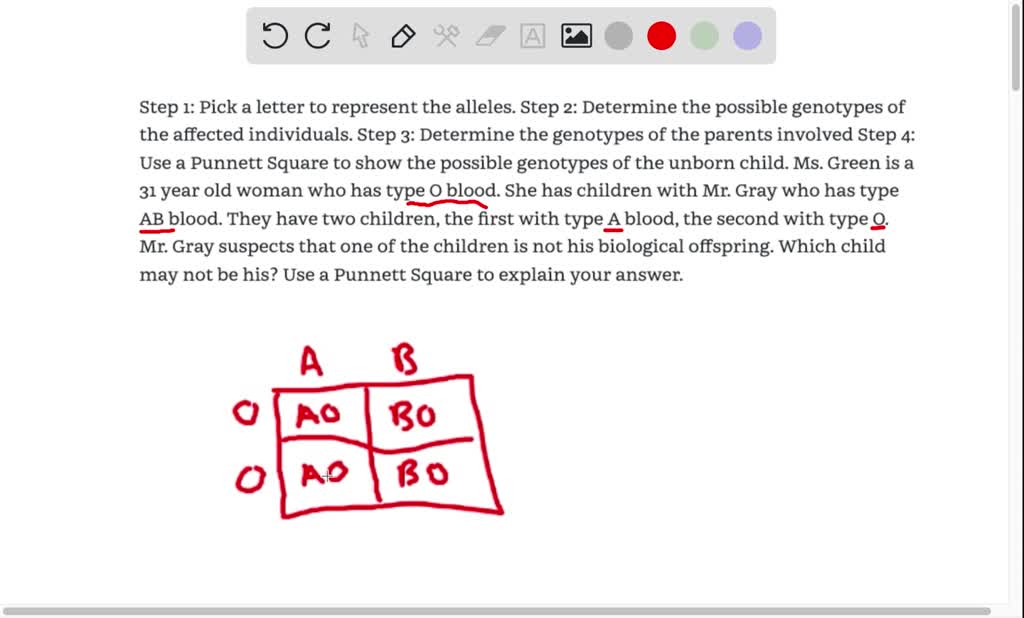 SOLVED: Step 1: Pick a letter to represent the alleles. Step 2: Determine the possible genotypes ...