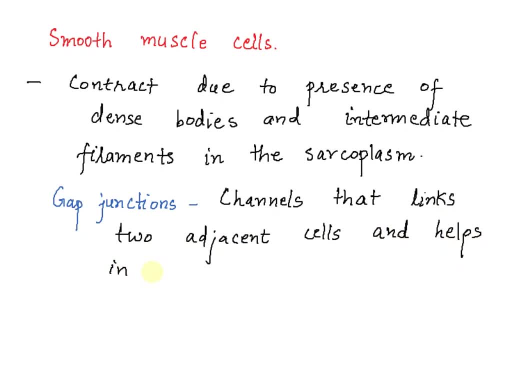 SOLVED: Smooth muscle cells can contract as a unit due to the presence ...
