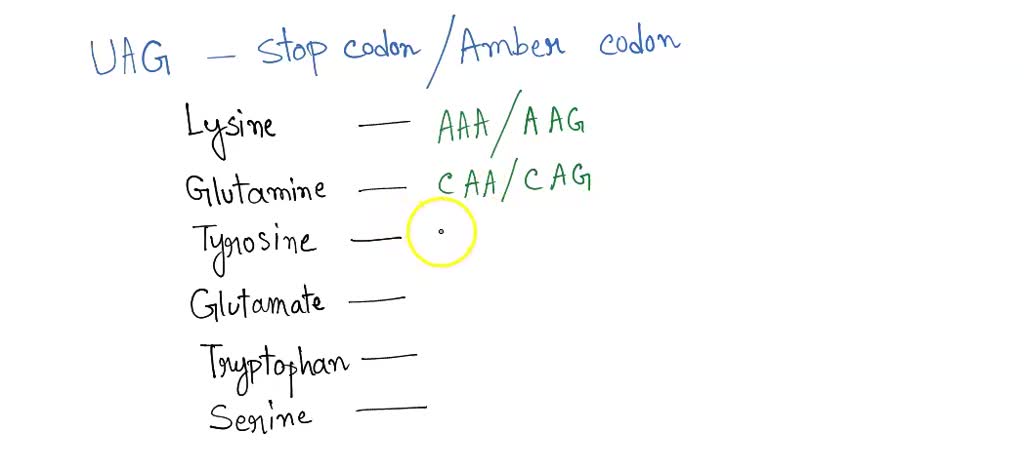 SOLVED: Deduce what the six wild-type nature of the amber codon UAG ...