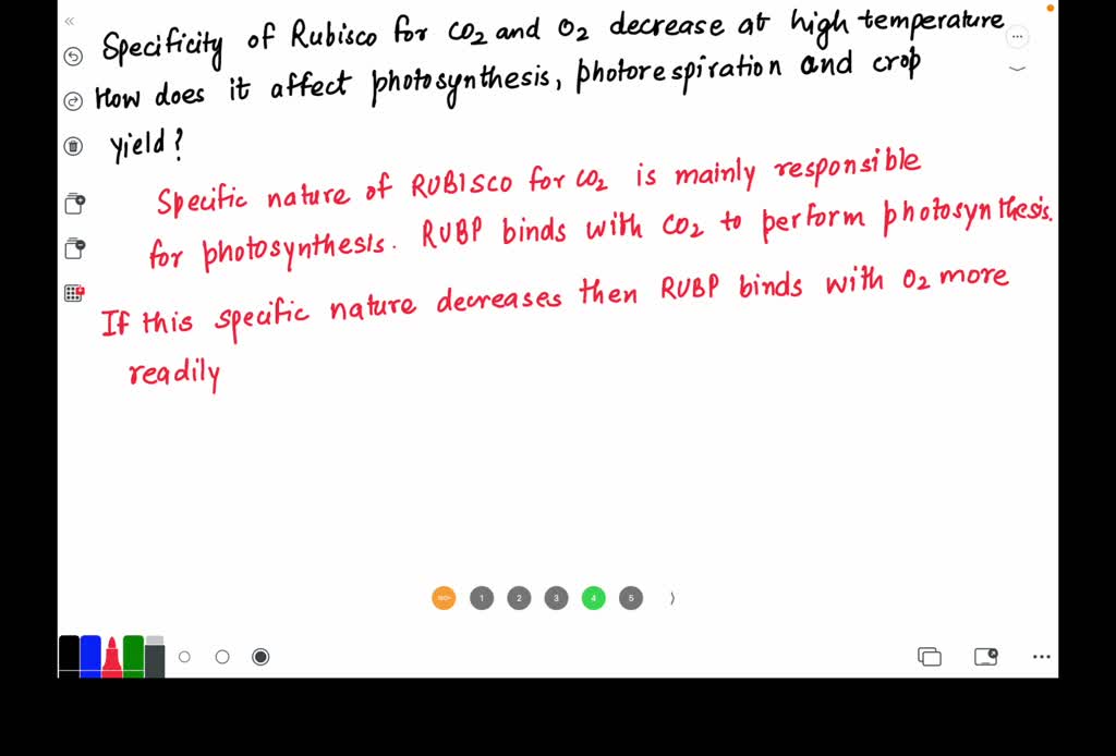 SOLVED: The specificity of Rubisco for CO2 vs O2 decreases at higher ...