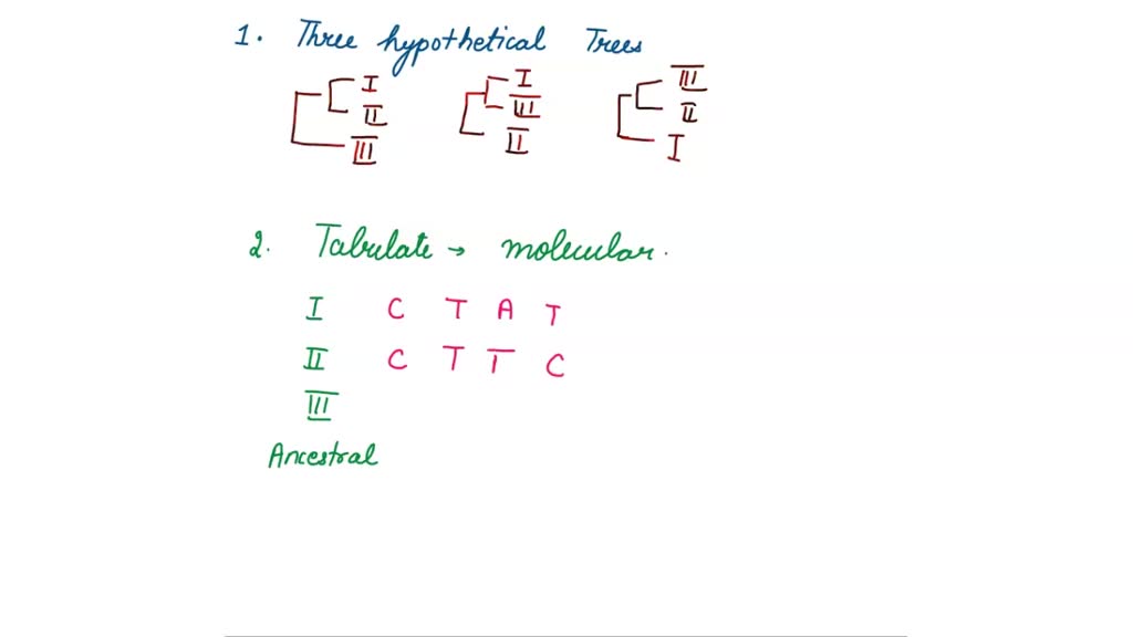 SOLVED: Draw the three possible hypothetical trees Show each site ...