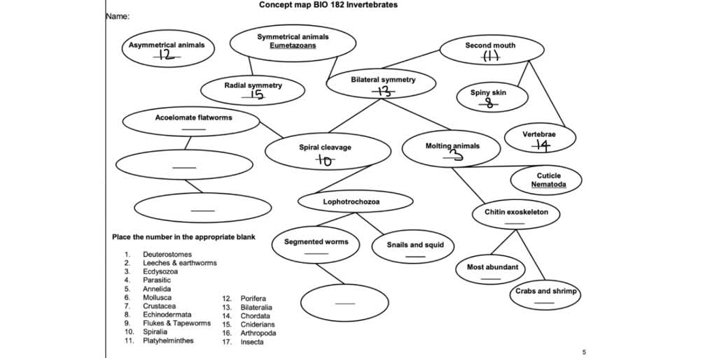 SOLVED: Concept map BIO 182 Invertebrates Name: Symmetrical animals ...