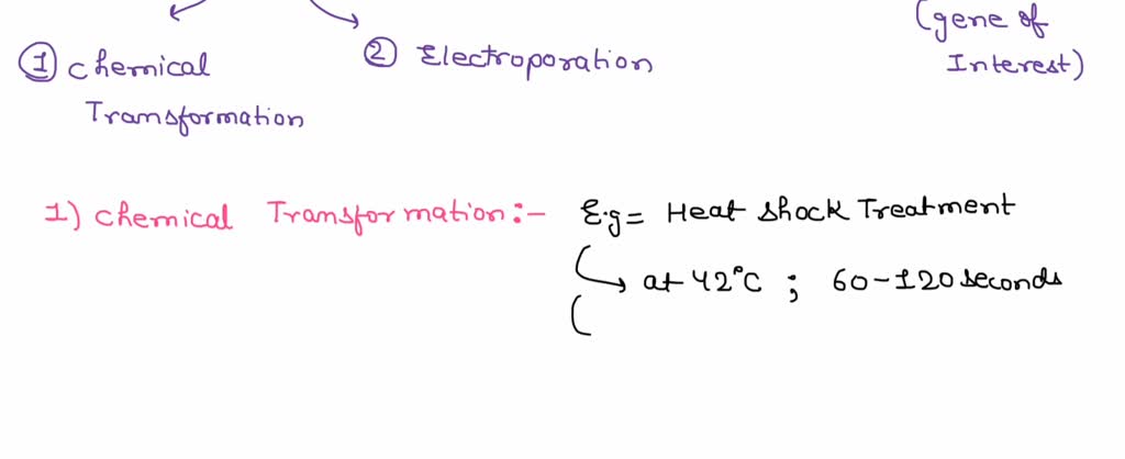 SOLVED: In bacterial transformation, what is the function of calcium ...