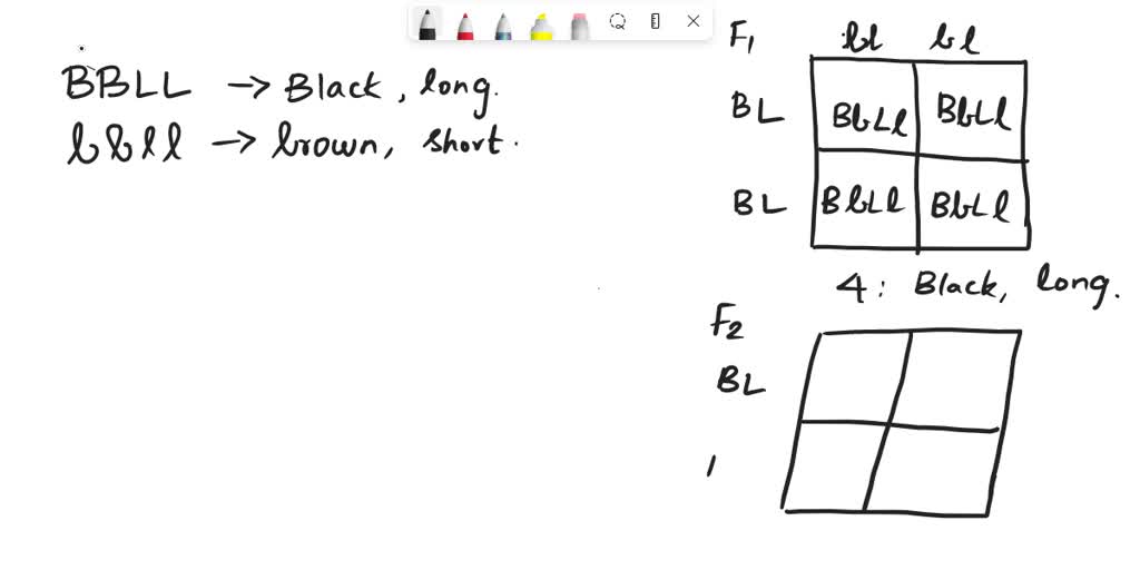 SOLVED: A pure breeding black dog is crossed with a pure breeding white ...