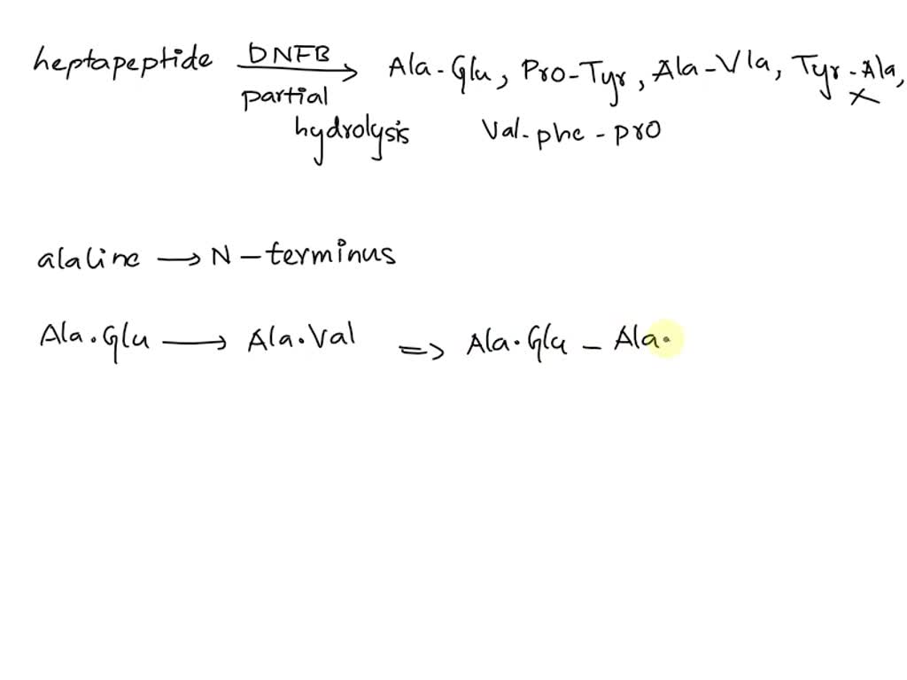 SOLVED: A heptapeptide Ala2, Glu, Phe, Pro, Tyr, Val gives labeled ...