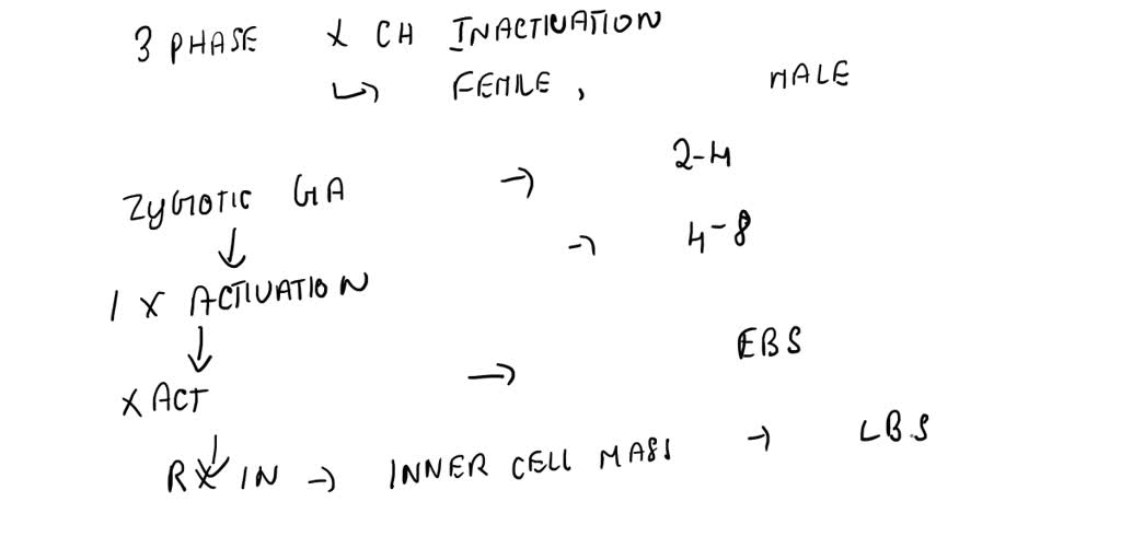 SOLVED: 1. X inactivation occurs in three phases: initiation, spreading ...