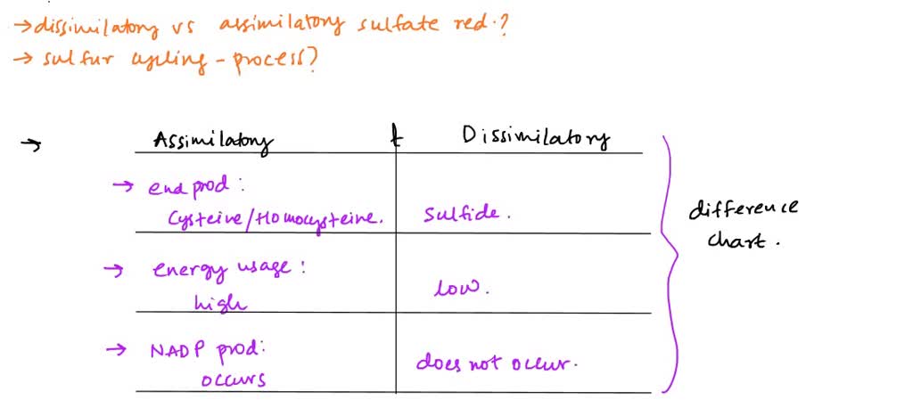 SOLVED: What is the difference between dissimilatory sulfate reduction ...