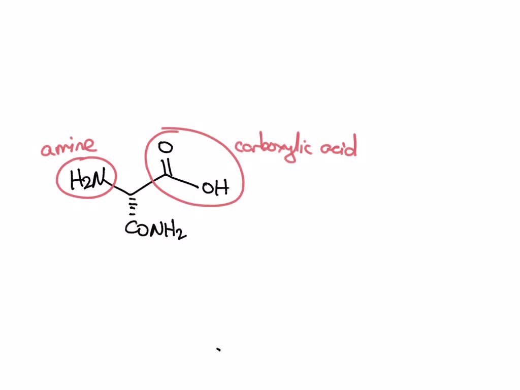 SOLVED: Select the functional group(s) you find from the molecule shown ...