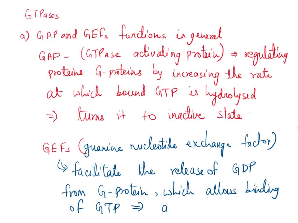 SOLVED: Small GTPases act as timed switches to activate various ...