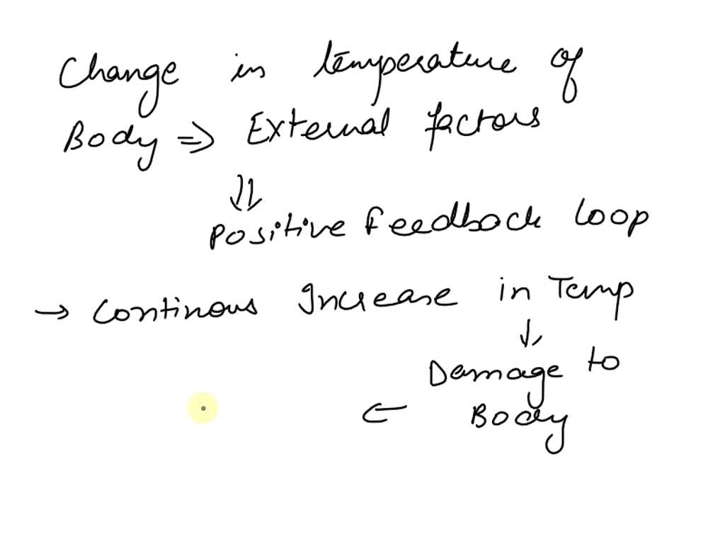 Solved Major Theme Connection Positive Feedback Loops Are The Opposite Of Negative Feedback 
