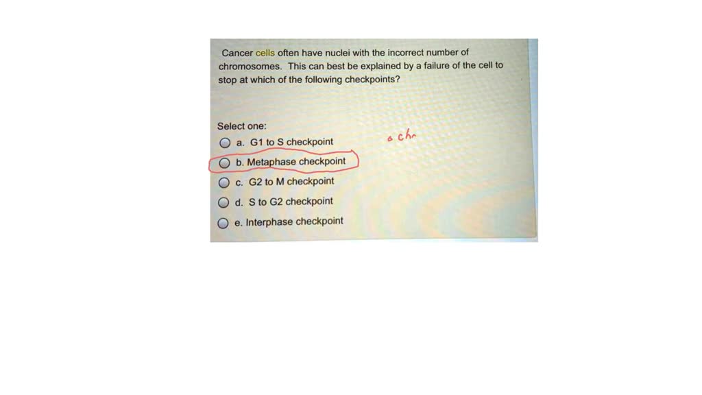 SOLVED: During the somatic cell division, the cell cycle can be paused/arrested to ensure ...