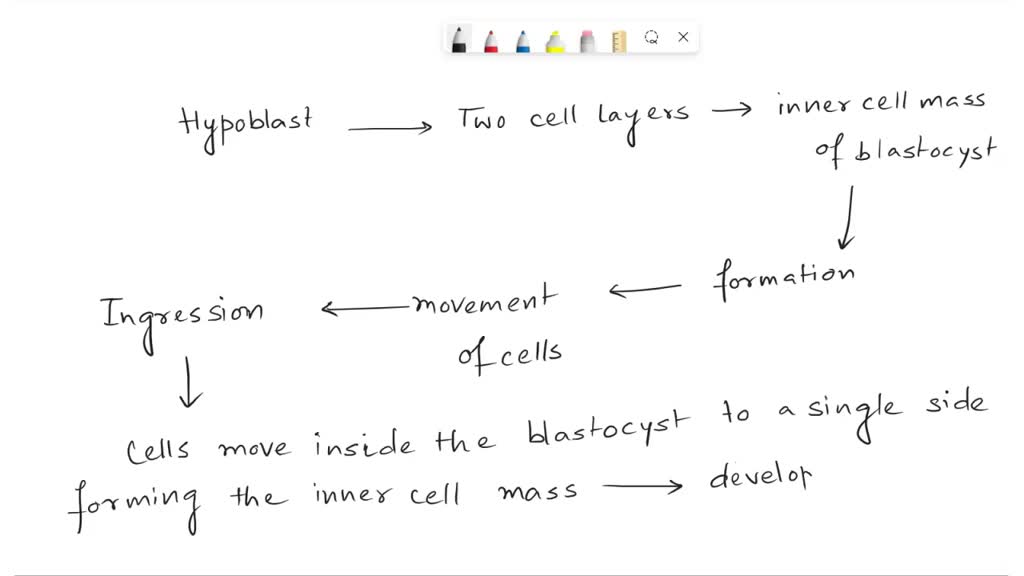 SOLVED: Part A: The development of the hypoblast in humans and chickens ...