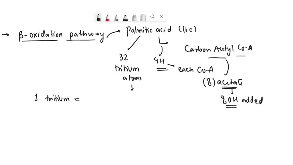 SOLVED: Palmitate uniformly labeled with tritium (3H) to a specific ...