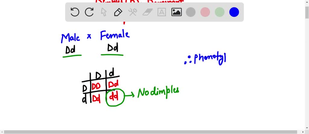 SOLVED: Dimples (D) in the cheeks are dominant to no dimples (d). If ...
