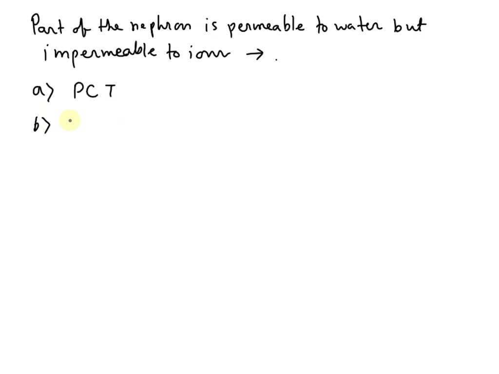 SOLVED: The ascending loop of the nephron loop connects to which ...