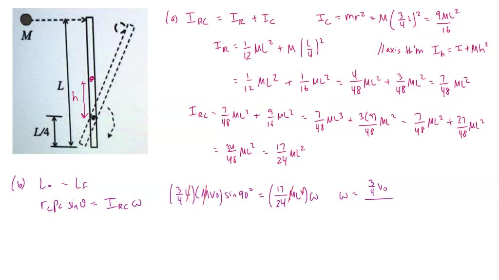 SOLVED: A thin, uniform, horizontal rod of mass M and length L can ...