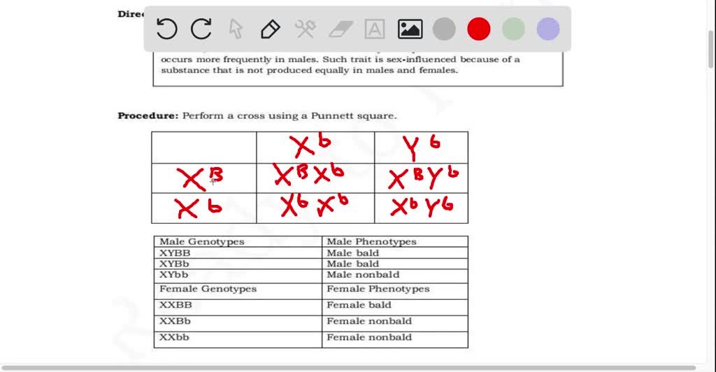 SOLVED: Give the genotypic and phenotypic ratios in the offspring if ...