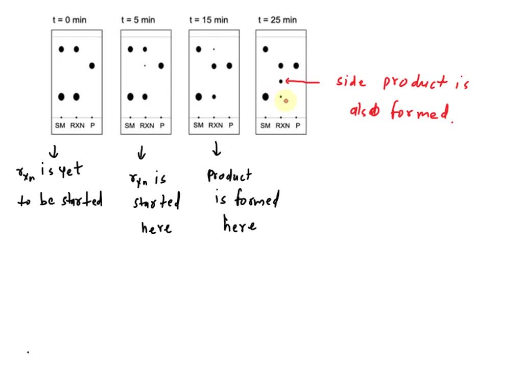 SOLVED: You are monitoring a reaction using Thin Layer Chromatography ...