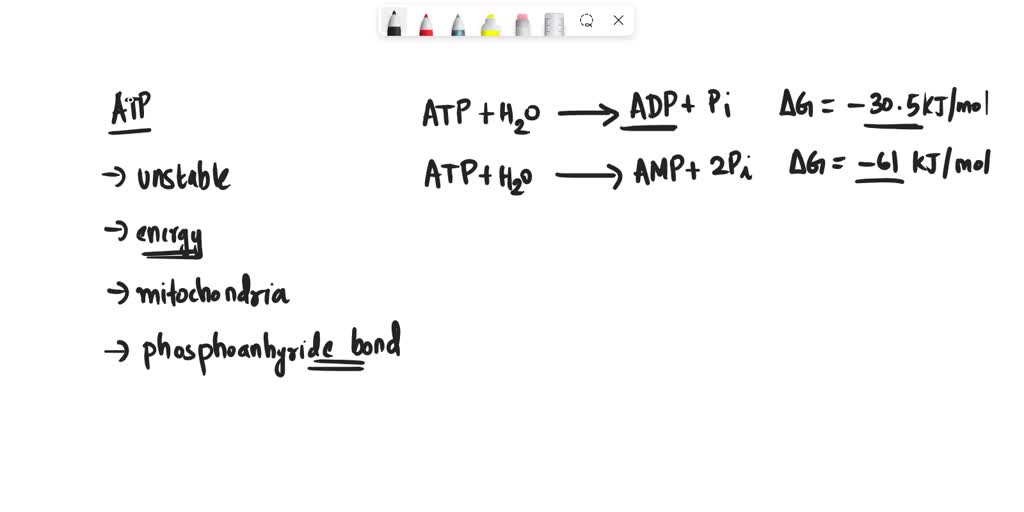 SOLVED: The hydrolysis of ATP to ADP is a spontaneous and favorable ...