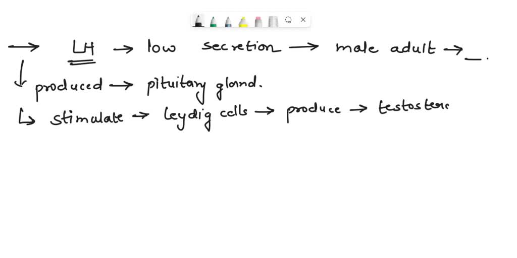 SOLVED: Reduced muscle mass in older adults can be attributed to loss ...