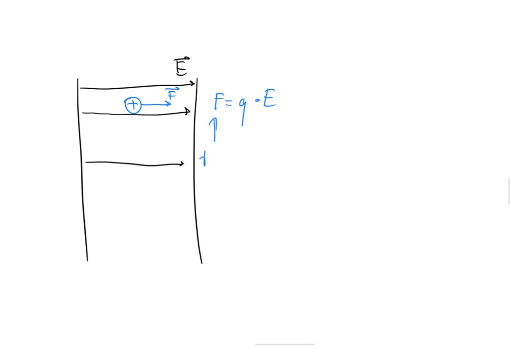 SOLVED: The electric field lines between two parallel charged plates ...