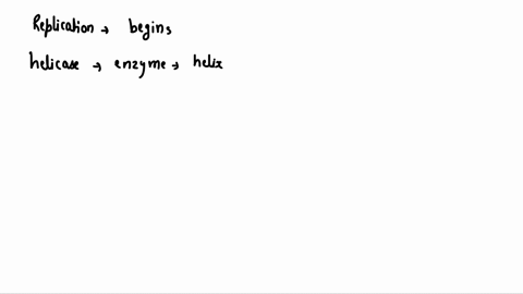 What two activities ofdna polymerase make it a high fidelity...