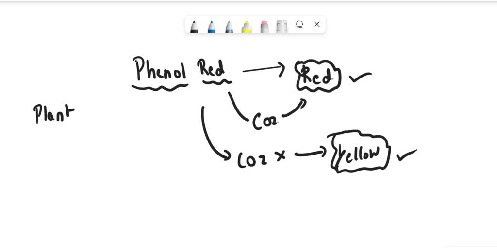 Phenol red is a chemical that turns red when carbon dioxide, CO2, is ...
