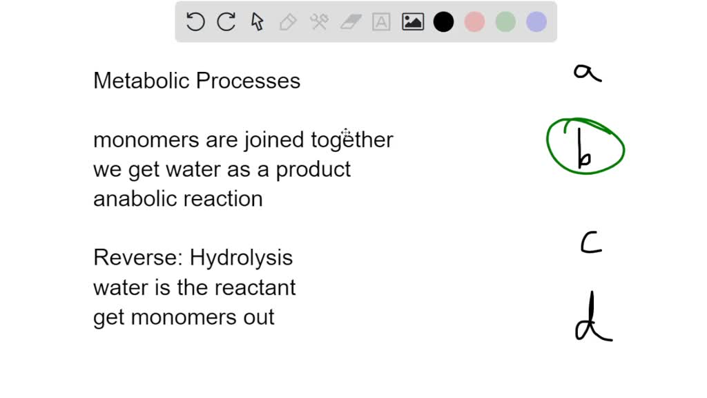 SOLVED: The following figure represents which process? monomer monomer ...